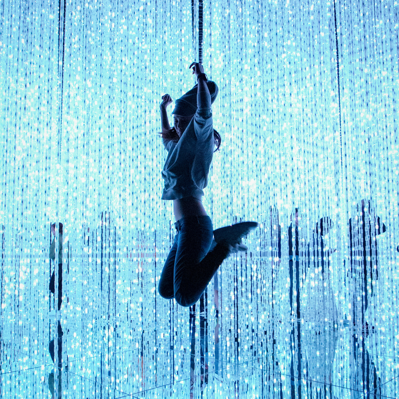 TeamLab Borderless Tokyo – Reserve-Japan