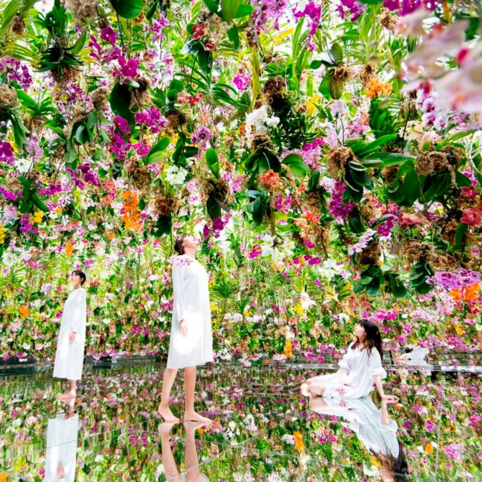 TeamLab Planets Tokyo – Reserve-Japan